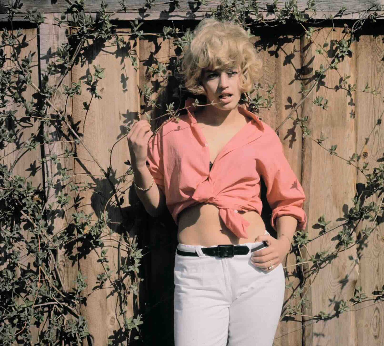 Lill-Babs och andra 60-talskvinnor som aldrig slutar imponera