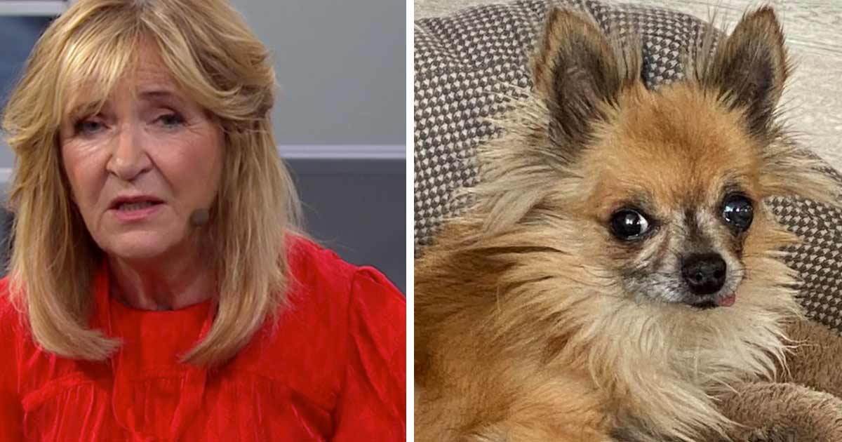 Malou von Sivers hade sin döda hund i bil