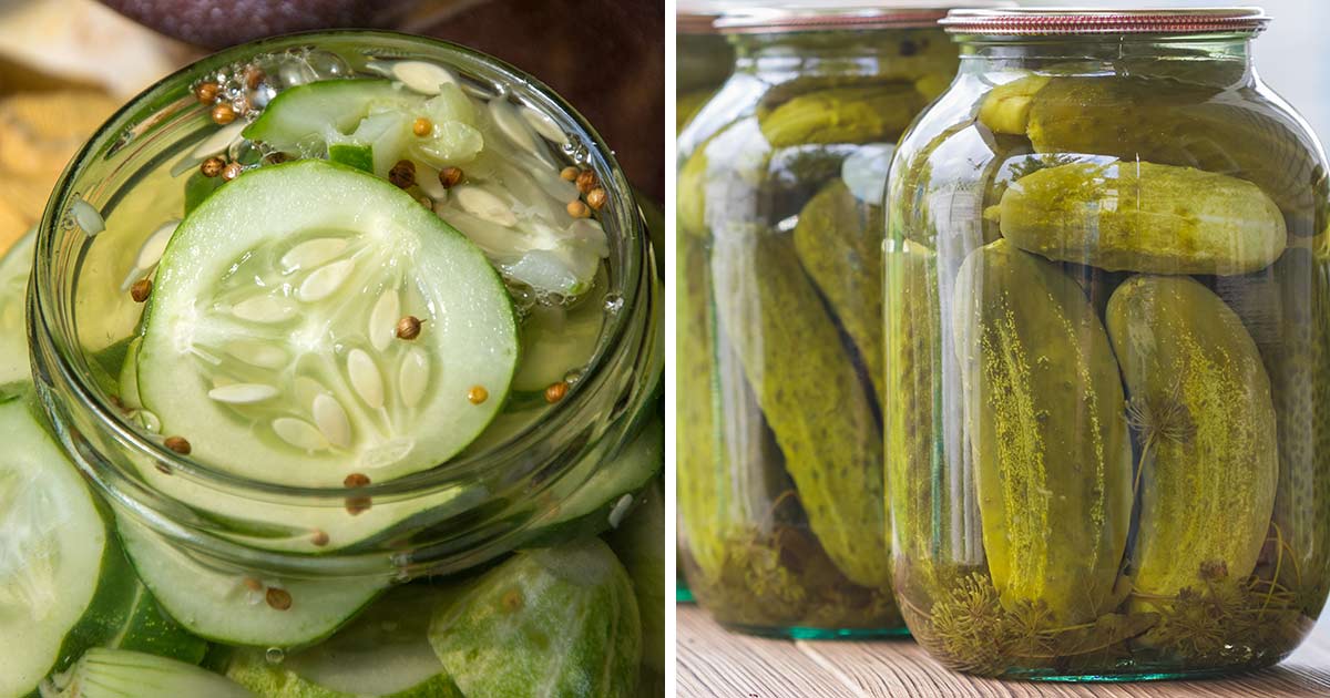 Inlagd gurka: Därför ska du äta det varje dag